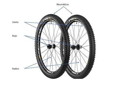 ⭐ Partes de una 【 BICICLETA 】y sus funciones